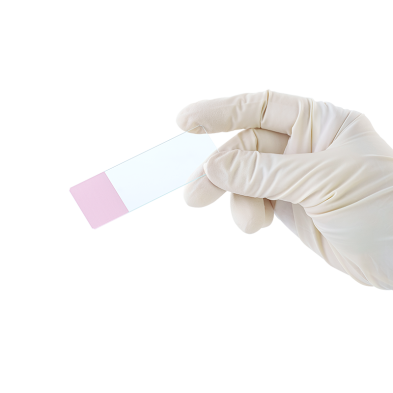 Microscope Slides, Frosted Pink, corner grounded Dynarex Corporation
